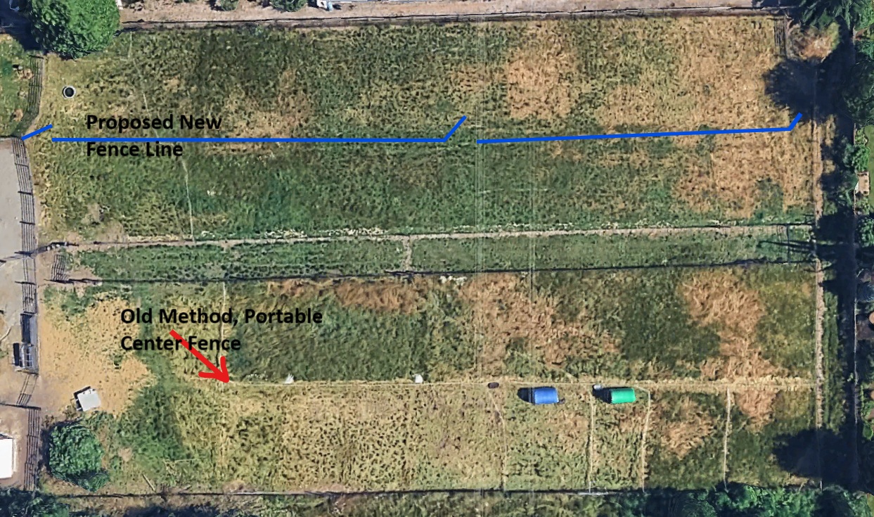 Dividing the Pasture: First gate – Little Farm in the Big City